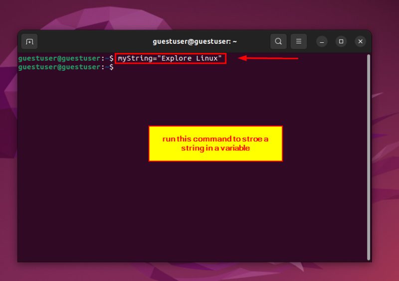 How To Find Bash String Length 5 Best Methods