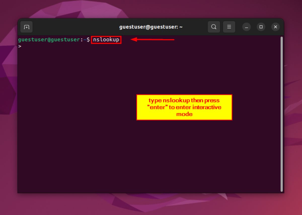 How to Use Nslookup Command in Linux [10 Best Ways]