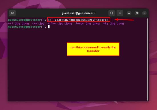 How To Copy Directory Linux [4 Best Methods]