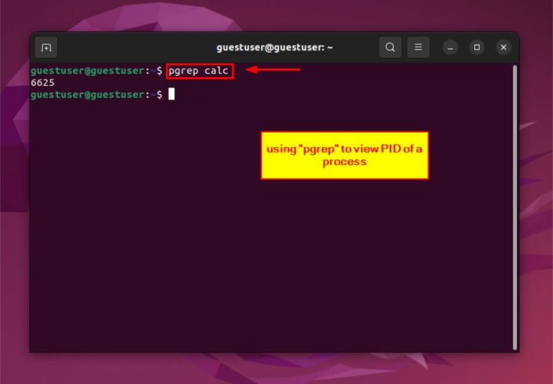 How to Find the PID and PPID Linux [7 Easy Methods]