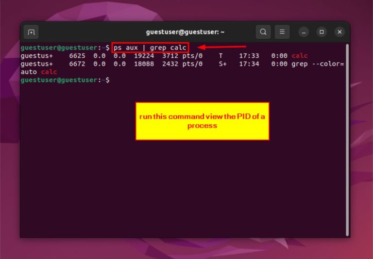 How To Find The Pid And Ppid Linux 7 Easy Methods