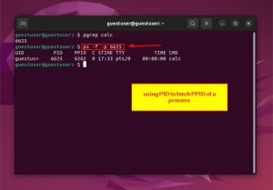 How to Find the PID and PPID Linux [7 Easy Methods]