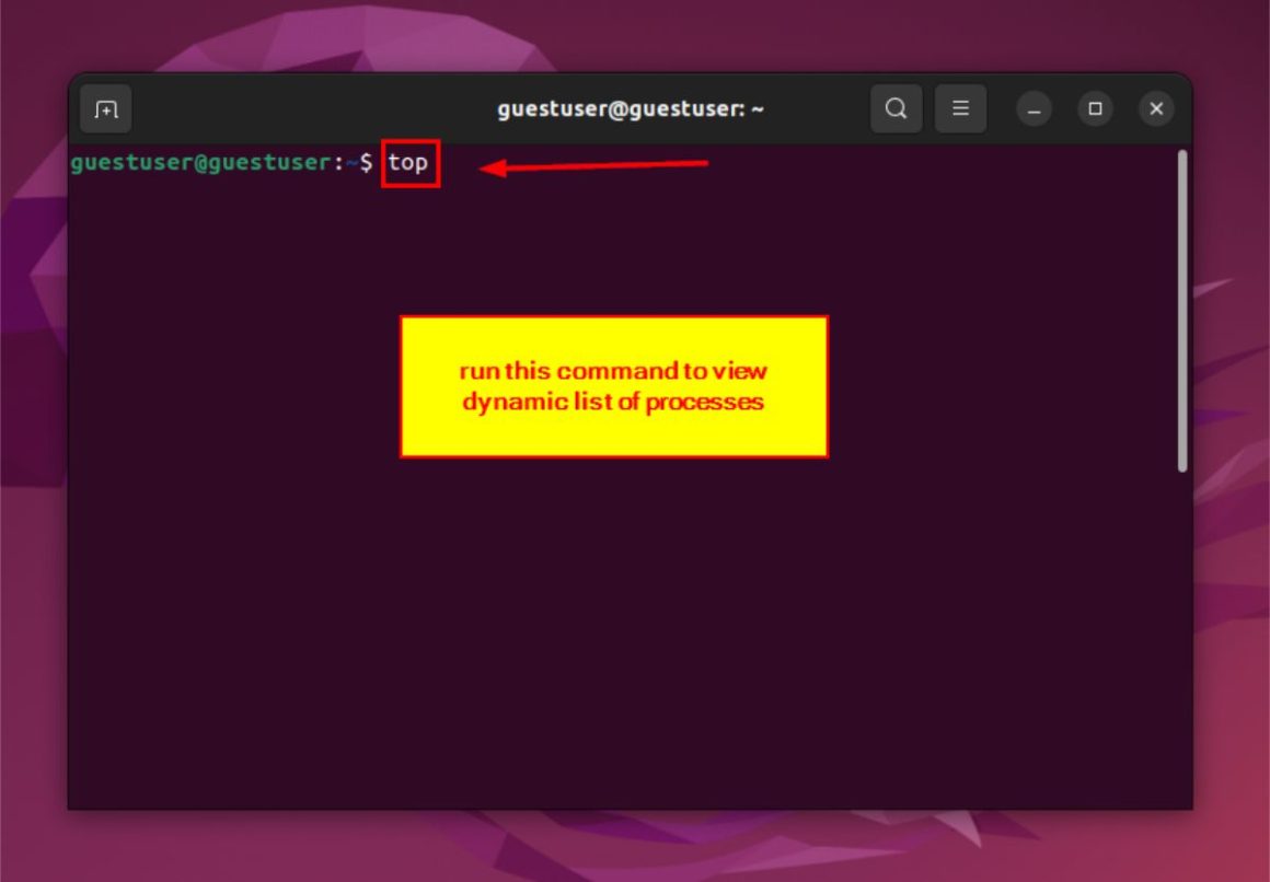 How To Find The Pid And Ppid Linux 7 Easy Methods