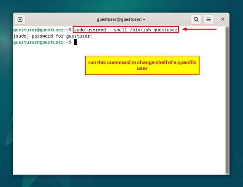 How to Change Shell Linux [3 Effective Methods]