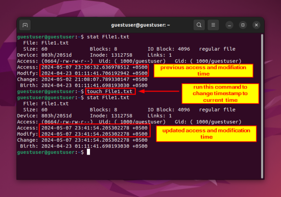How to View Linux File Timestamps? [3 Easy Methods]