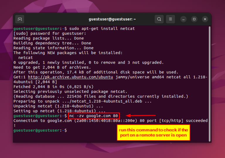How to Ping Specific Port Linux [3 Easy Methods]