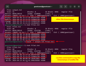 How to View Linux File Timestamps? [3 Easy Methods]