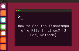How to Use chmod 755 in Linux [3 Best Ways]