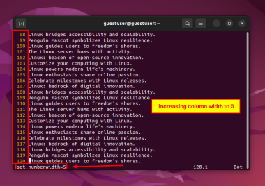 3 Easy Ways to Show Line Number in Vim