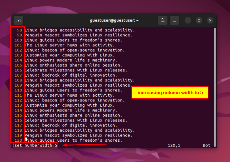 3 Easy Ways to Show Line Number in Vim
