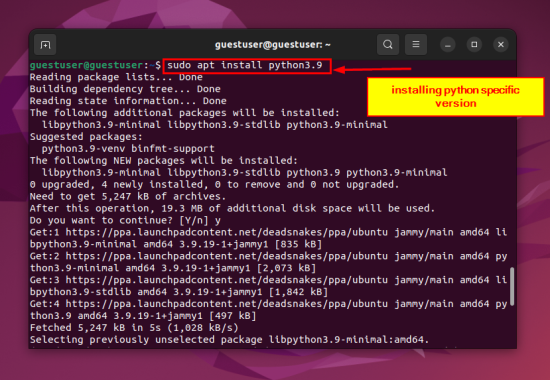 How to Install Python3 on Ubuntu [3 Best Methods]