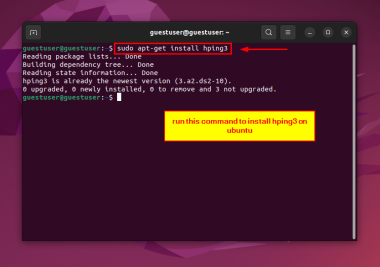 How to Ping Specific Port Linux [3 Easy Methods]