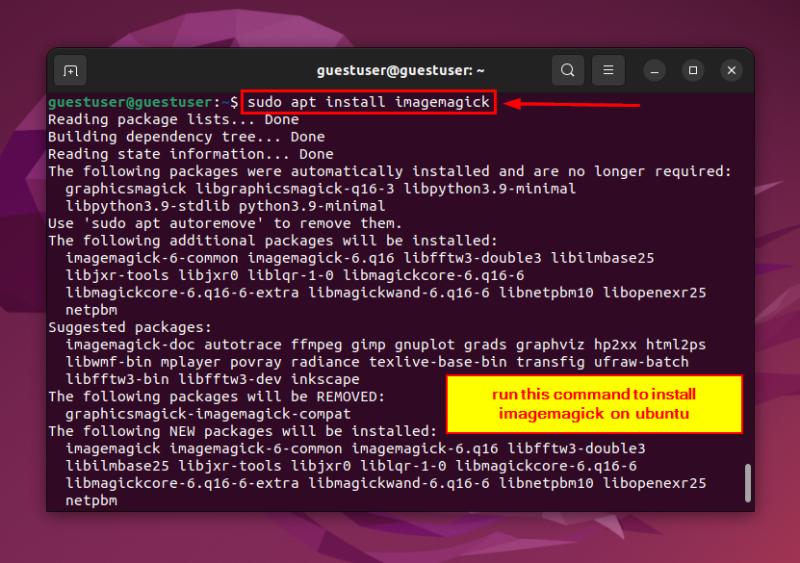How to Install ImageMagick Ubuntu [3 Easy Methods]
