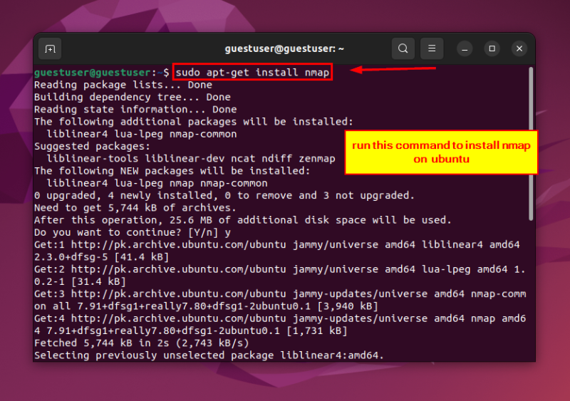 How to Ping Specific Port Linux [3 Easy Methods]