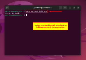 Apt Install Specific Version of a Package: How to Do It?