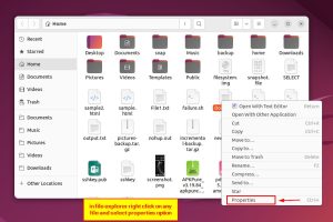 How to View Linux File Timestamps? [3 Easy Methods]