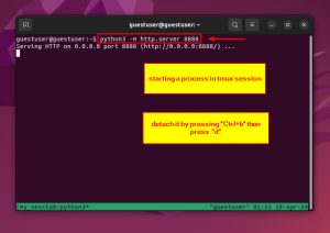 How to Run Linux Commands in Background [8 Effective Methods]