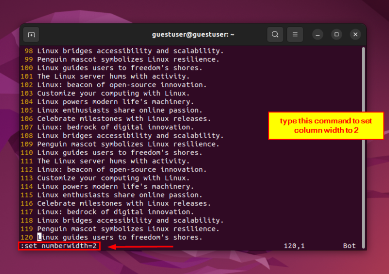 3 Easy Ways to Show Line Number in Vim