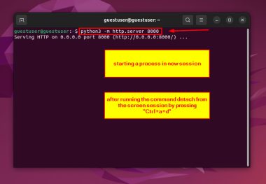 How to Run Linux Commands in Background [8 Effective Methods]