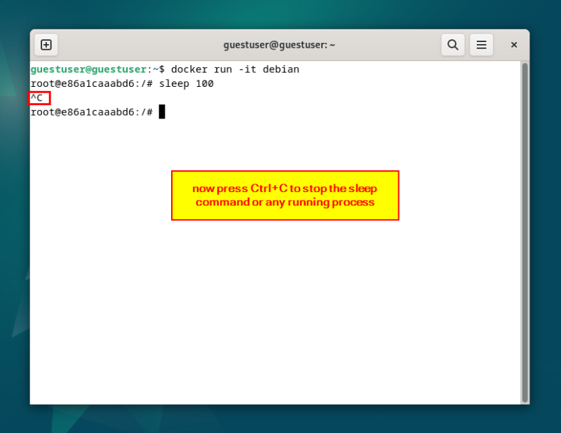 How to Exit Docker Container Like a Pro [6 Best Methods]