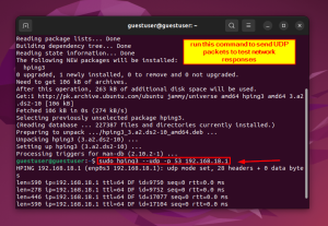 How to Do a UDP Ping in Linux [3 Effective Methods]