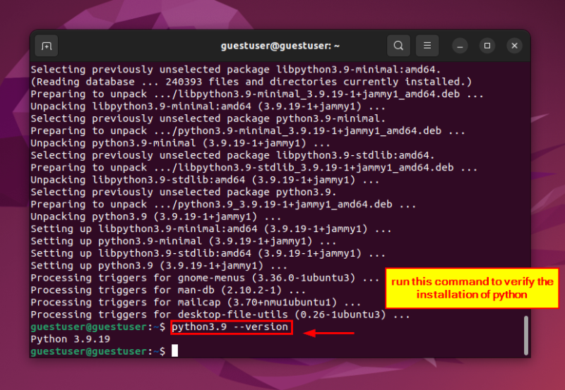 How to Install Python3 on Ubuntu [3 Best Methods]