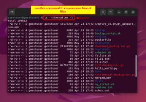 How to View Linux File Timestamps? [3 Easy Methods]
