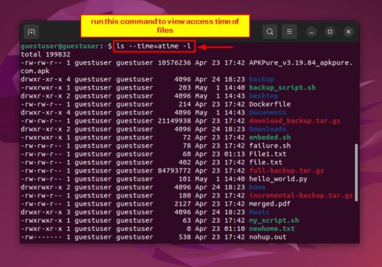 How to View Linux File Timestamps? [3 Easy Methods]
