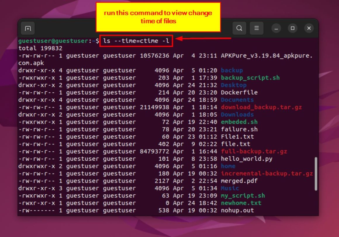 How to View Linux File Timestamps? [3 Easy Methods]