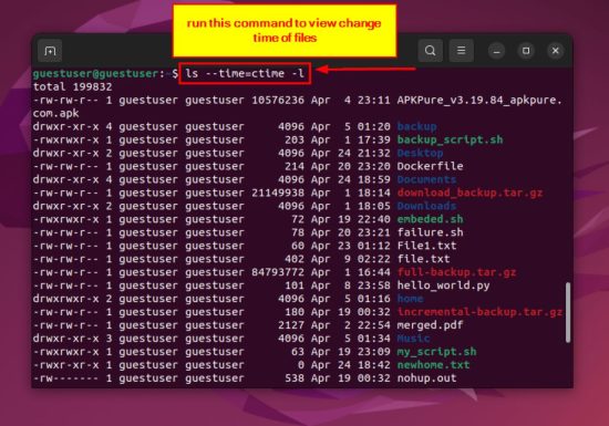 How to View Linux File Timestamps? [3 Easy Methods]