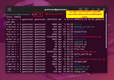 How to View Linux File Timestamps? [3 Easy Methods]