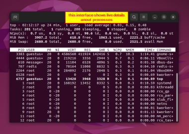 How to List All Services Ubuntu [4 Best Methods]