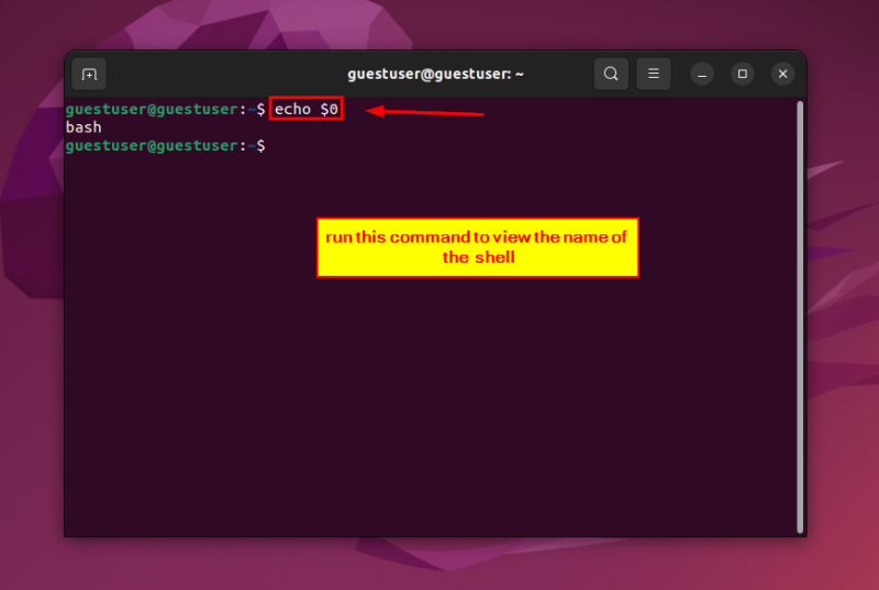 How to Know What Shell You are Using? [7 Proven Methods]