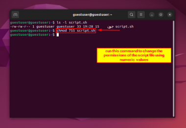 How To Make Bash Script Executable? [3 Proven Methods]