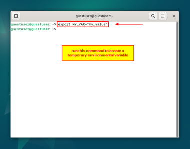 How to Print Env Variable Linux [5 Best Methods]