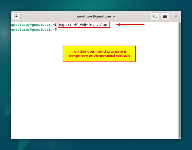 How to Print Env Variable Linux [5 Best Methods]