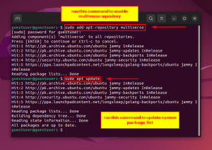 How to Install Proton for Steam on Linux? [15 Easy Steps]