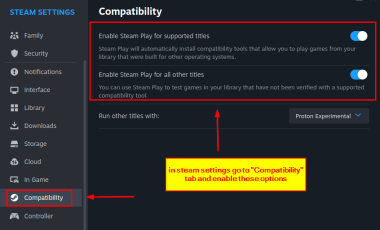 How to Install Proton for Steam on Linux? [15 Easy Steps]