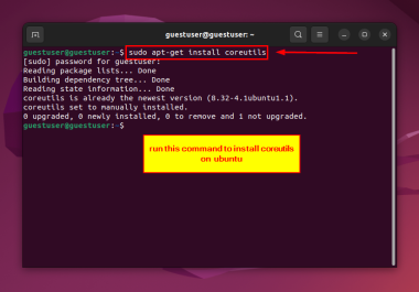 How to Compare Two Files Linux [3 Effective Methods]
