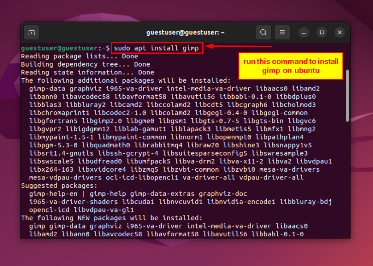 How to Install GIMP on Linux [ 3 Best Methods ]