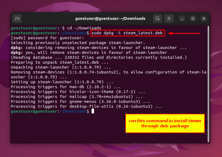 Install a Native Version of Steam on Linux- 3 Proven Methods