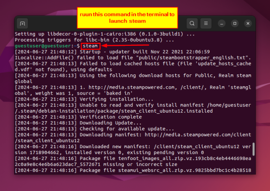 How to Install Proton for Steam on Linux? [15 Easy Steps]