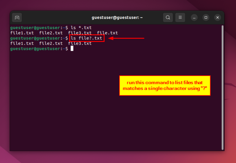 How to Use Command Line on Linux