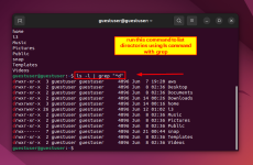 7 Easy Methods to List Only Directories Linux