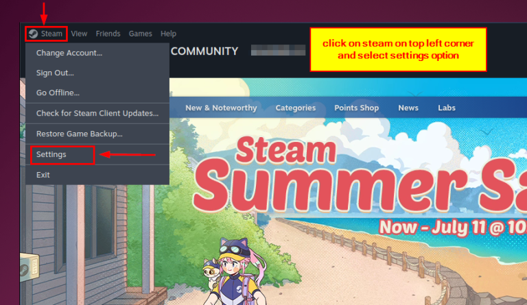 How to Install Proton for Steam on Linux? [15 Easy Steps]