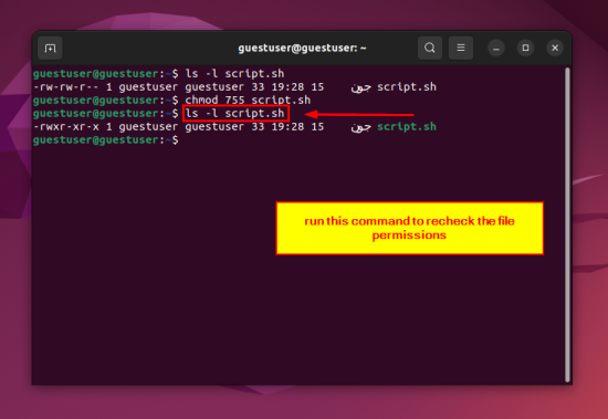 How To Make Bash Script Executable? [3 Proven Methods]