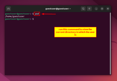 How to Use Command Line on Linux