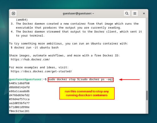 How to install Docker Debian [3 Best Methods ]