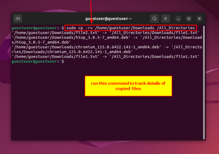 How To Copy Directory Linux [4 Best Methods]