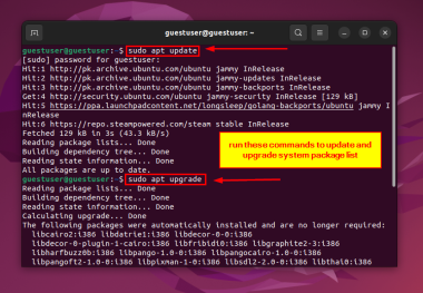 How to Install Proton for Steam on Linux? [15 Easy Steps]